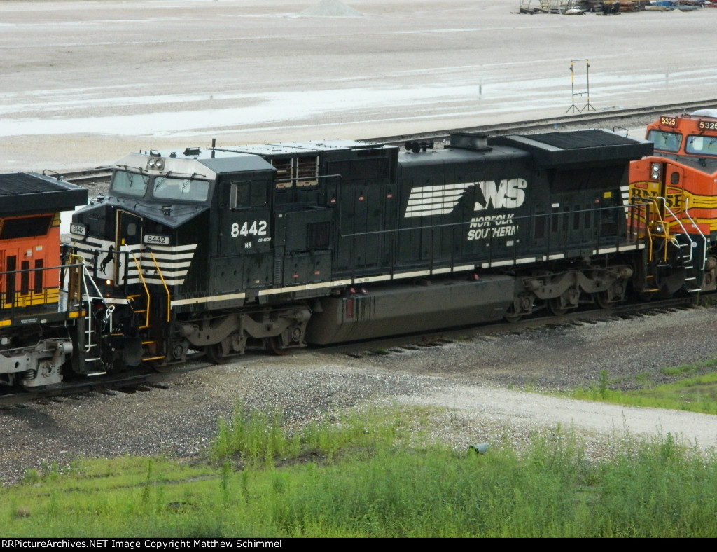 NS 8442